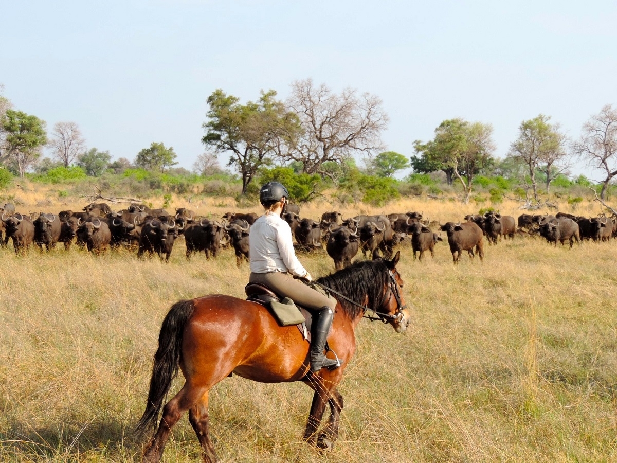 Horseback Riding in Lake Mburo National Park | Standard Gorilla Safaris