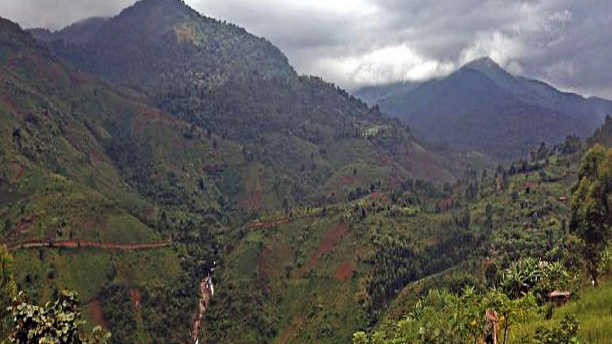 Mount Biega | Standard Gorilla Safaris