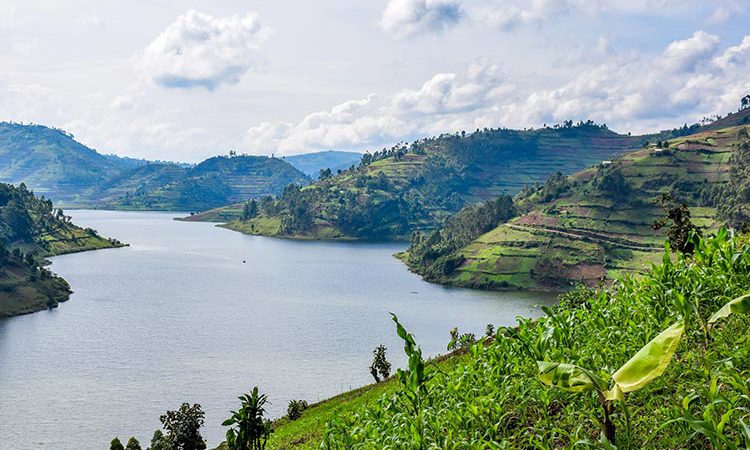 When to visit Uganda? | Standard Gorilla Safaris