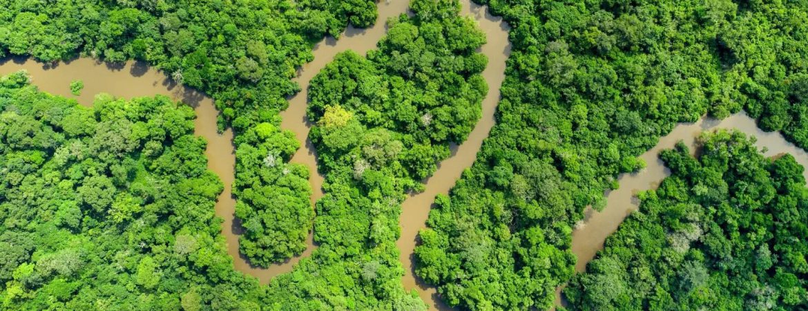 CONGO TRAVEL GUIDE. - Standard Gorilla Safaris