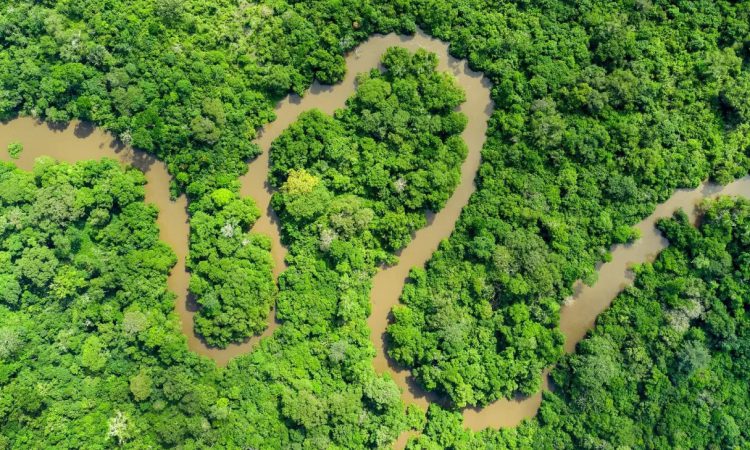 CONGO TRAVEL GUIDE. | Standard Gorilla Safaris