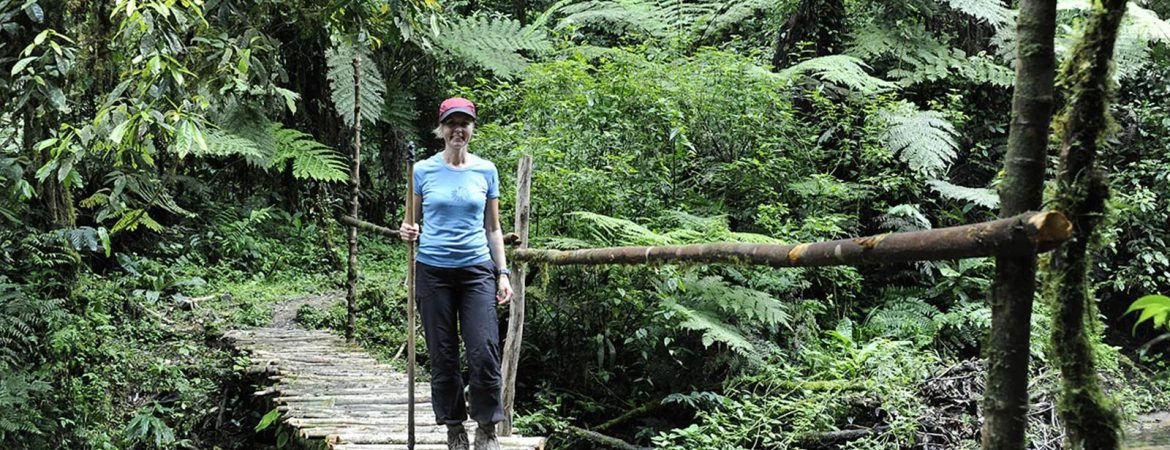 Kashasha River Trail Hike in Bwindi - Standard Gorilla Safaris