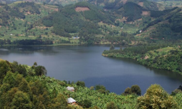 Lake Africa/Rutoto in Uganda | Standard Gorilla Safaris