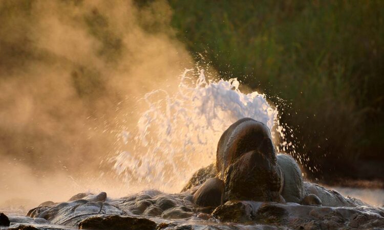 Sempaya Hot Springs Tour at Semuliki National Park | Standard Gorilla ...