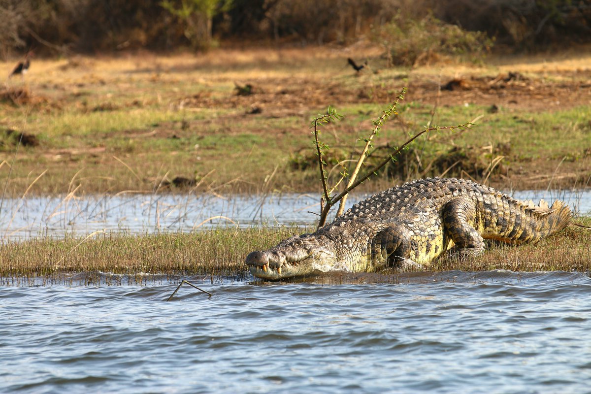 Lakes in Akagera National Park | Standard Gorilla Safaris