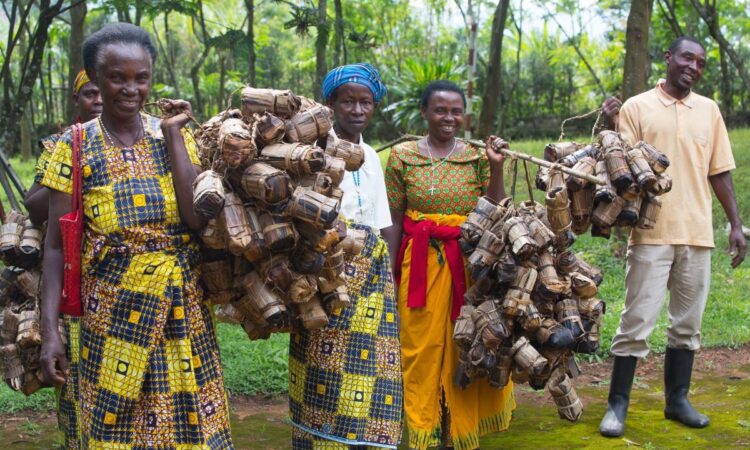 Bigodi community tour | Standard Gorilla Safaris