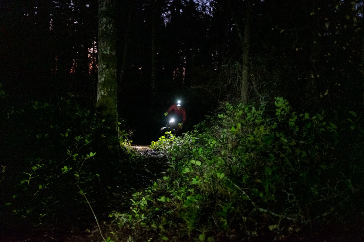 Night nature walks in Kibale Forest | Standard Gorilla Safaris