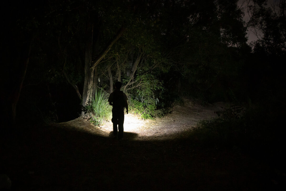 Night nature walks in Budongo Forest | Standard Gorilla Safaris