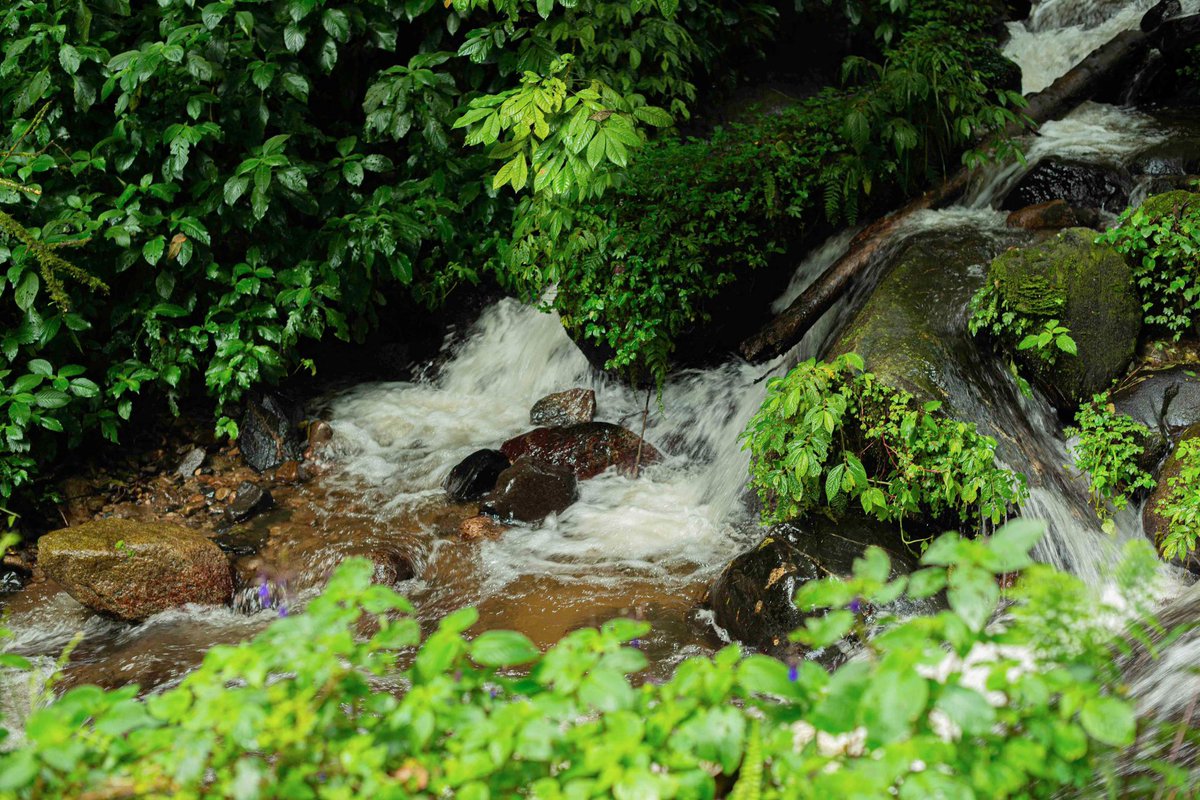 A tour to Mahoma Falls in Fort Portal | Standard Gorilla Safaris