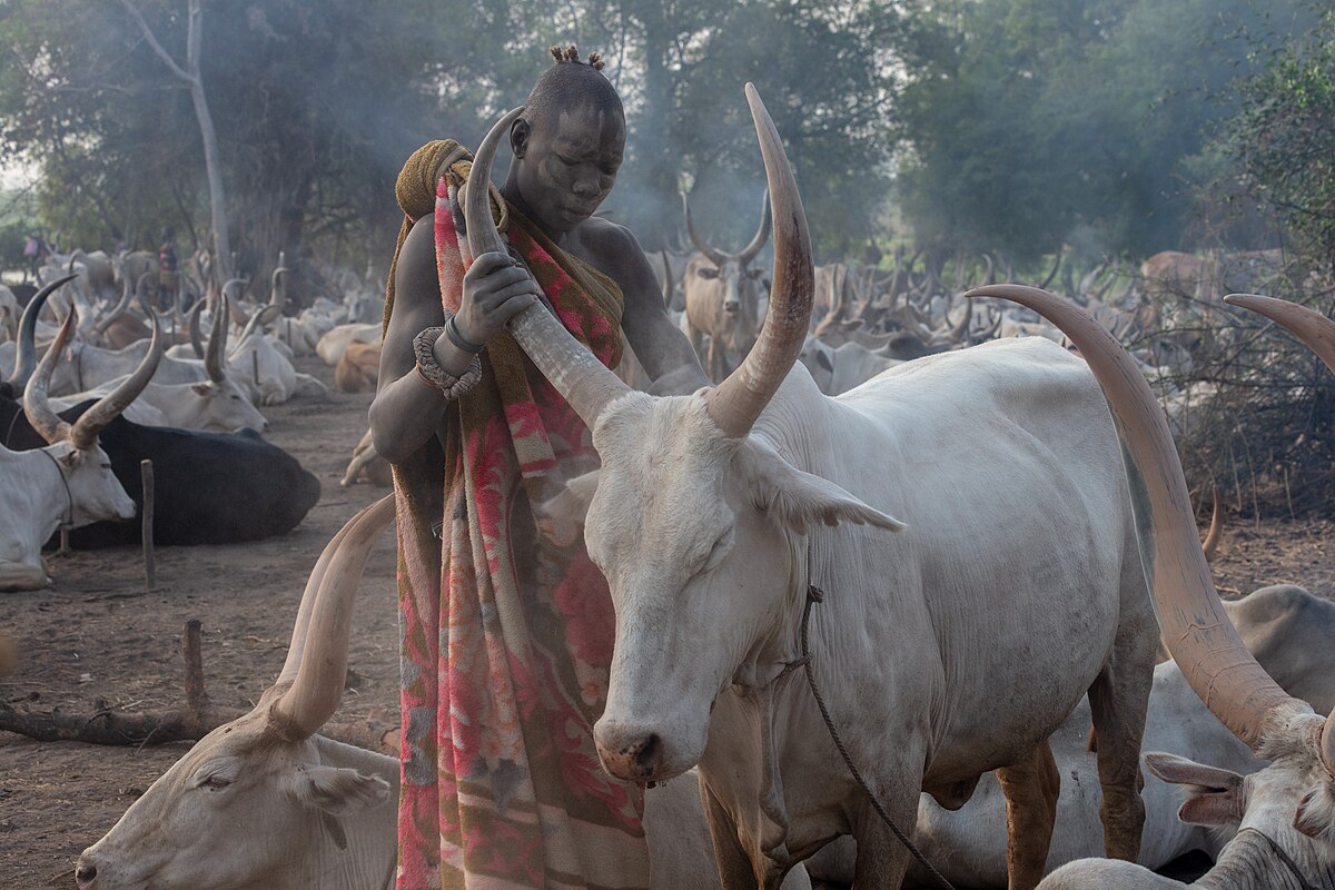 6 Days South Sudan Cultural Tour to visit Lopit, Buya, Mundari, and ...